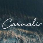 Carnelia – Cairo plaza